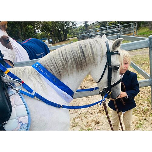 Marker Contact Reins For Children & Beginners For Aid Of Balance With ...