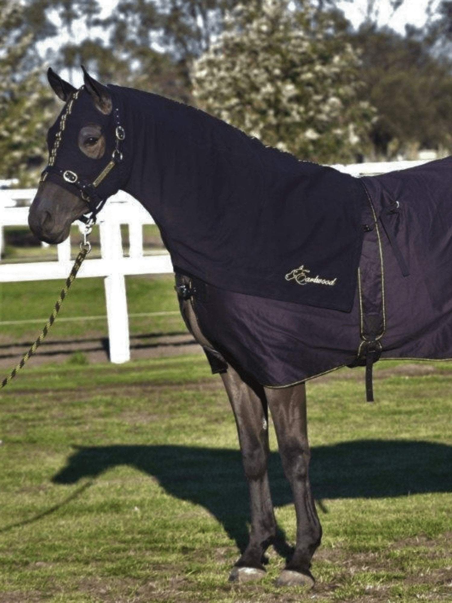 Earlwood Black Label Hood – PULL ON - NC Equine