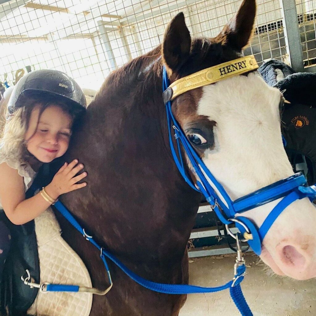 Contact Reins - NC Equine