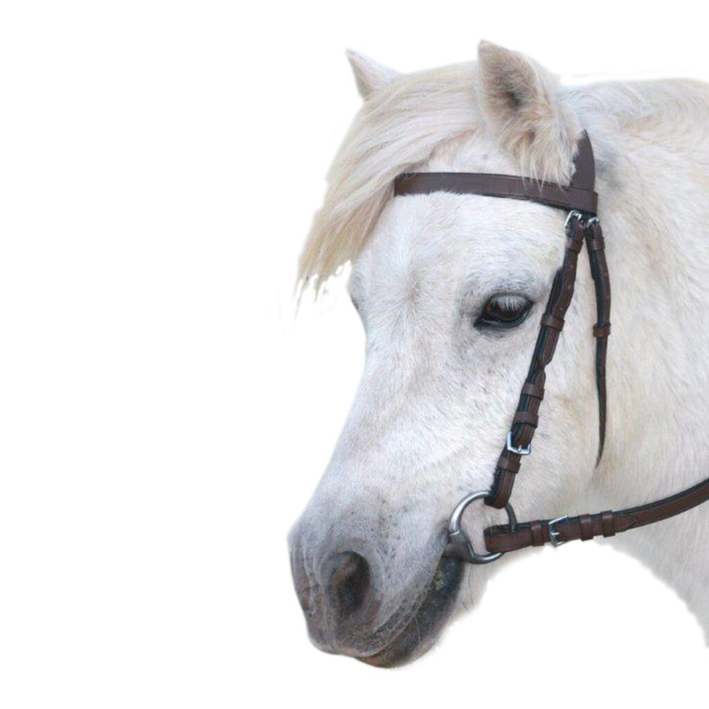 Eureka Plain Leather Snaffle Bridle - NC Equine